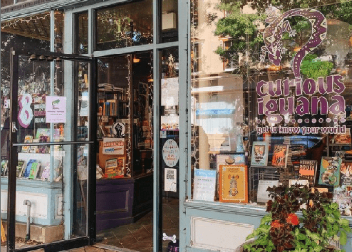 About - Curious Iguana